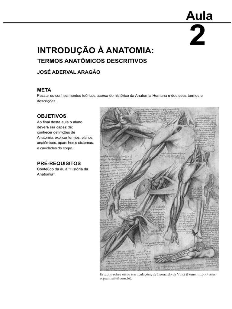 El Anato | PDF