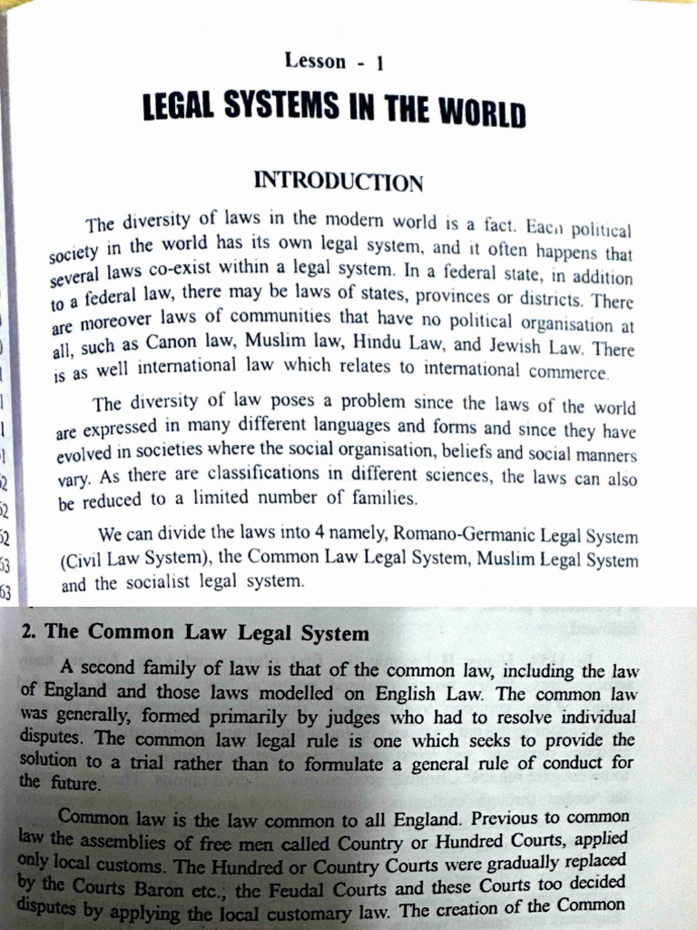 Common Law System | PDF