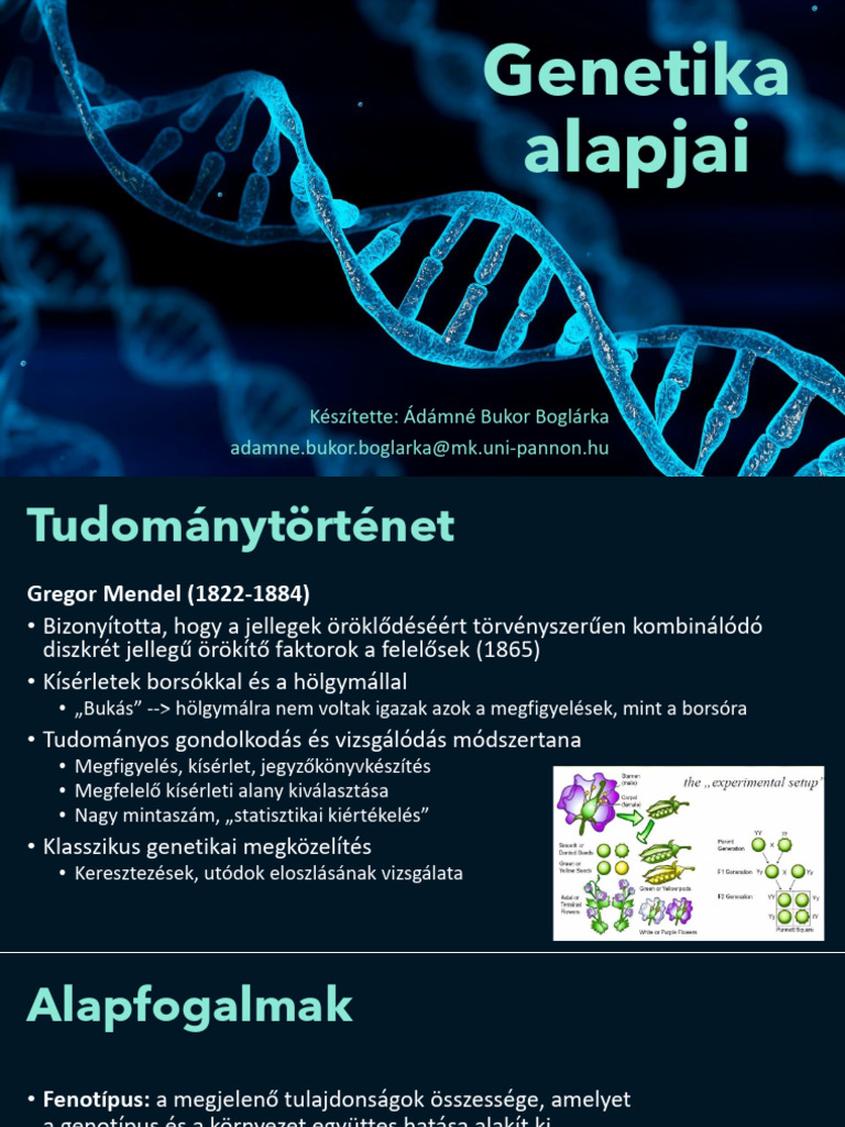 Genetika Alapjai: Bukor Adamne - Bukor.boglarka@mk - Uni-Pannon - Hu | PDF