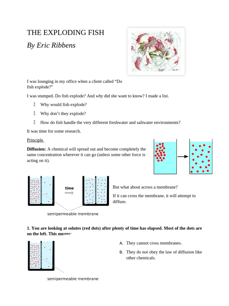 THE EXPLODING FISH | PDF | Diffusion | Water