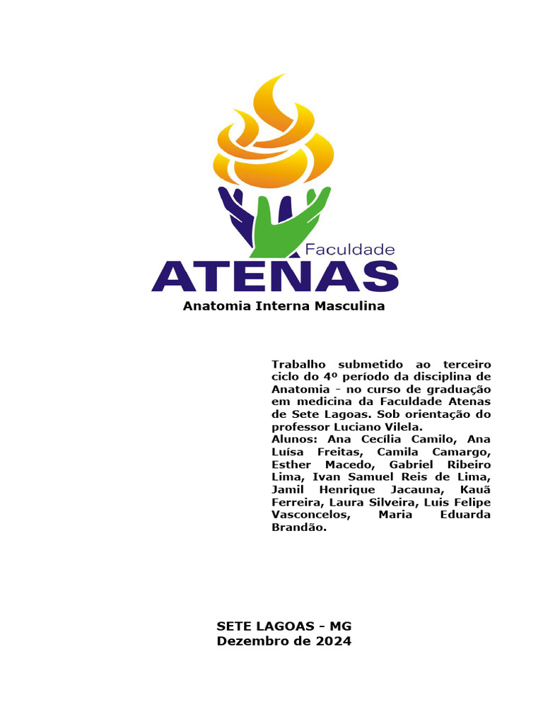 Trabalho de Anatomia Final (1) | PDF | Próstata | Pélvis