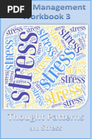 3 Ds: Delay, Distract, Decide Worksheet | PDF
