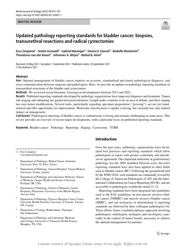 Bladder Cancer Pathology Update | PDF | Carcinoma | Pathology