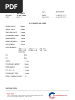 Template Echoreport | PDF