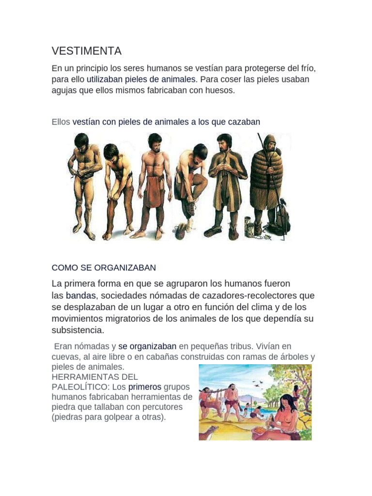 Evolución de la vestimenta y sedentarismo | PDF