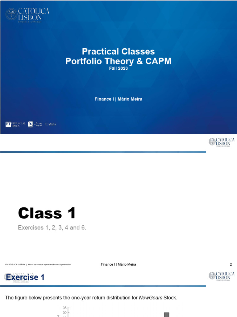 Practical Classes - Portfolio Theory CAPM | PDF | Standard Deviation | Financial Markets