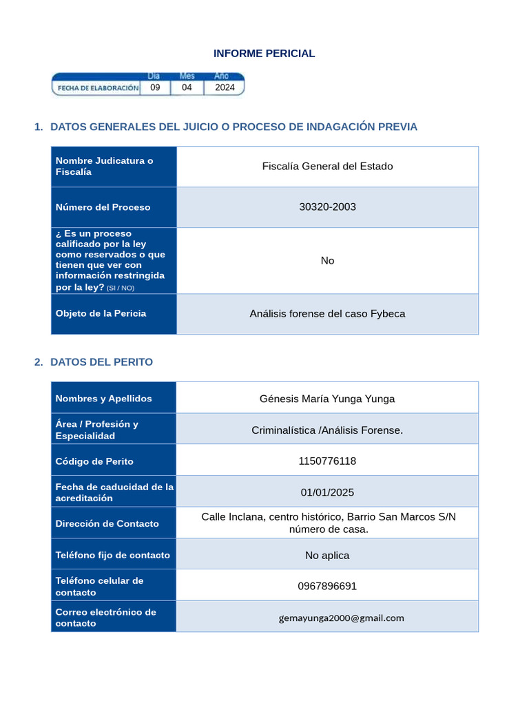 Formato Informe Pericial Actualizado 2024 Fybeca 2.0 | PDF | Ecuador ...