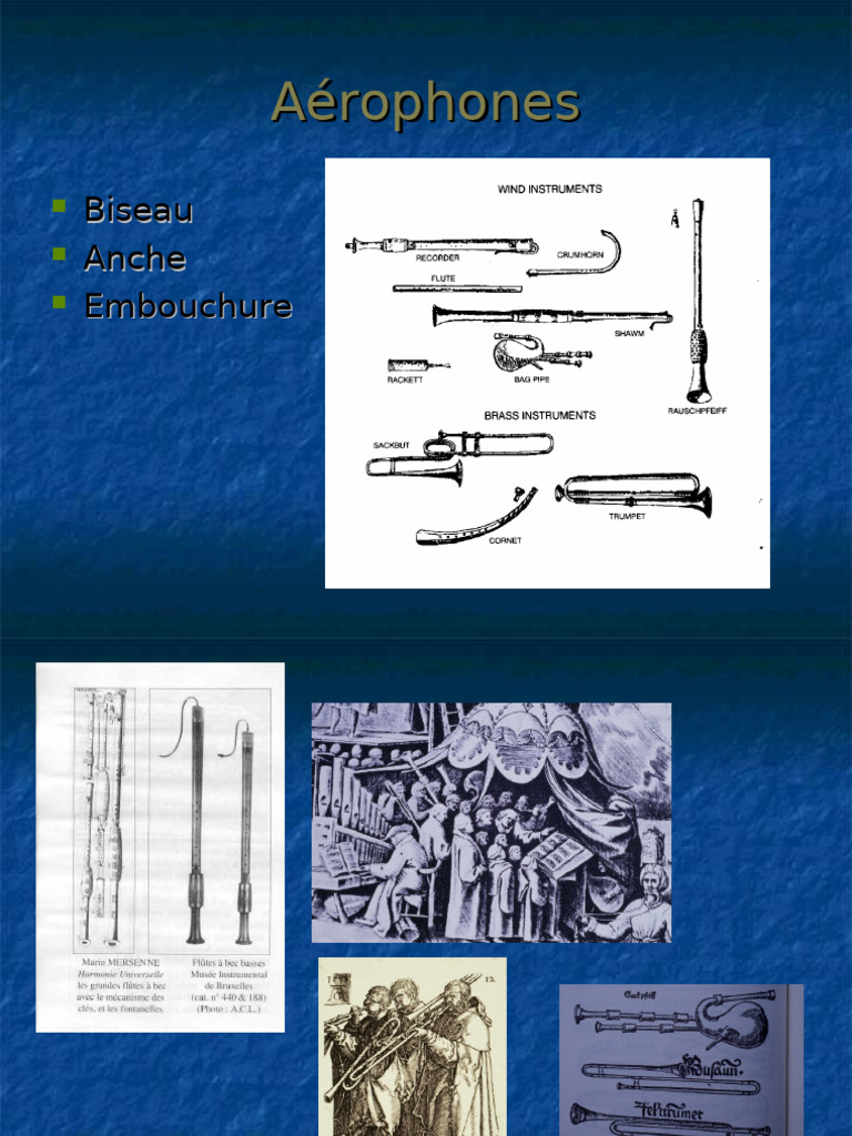 Organo 3 Aerophones | PDF | Chasse au renard | Instruments de musique