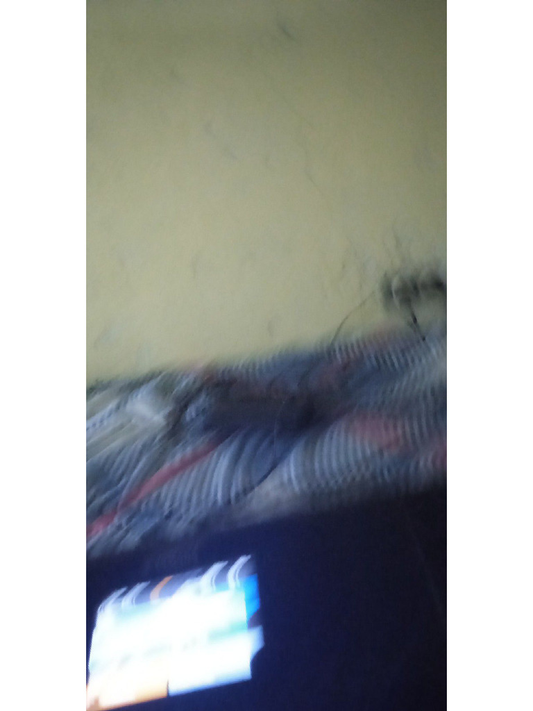 PDFReader_20241218_1848 | PDF