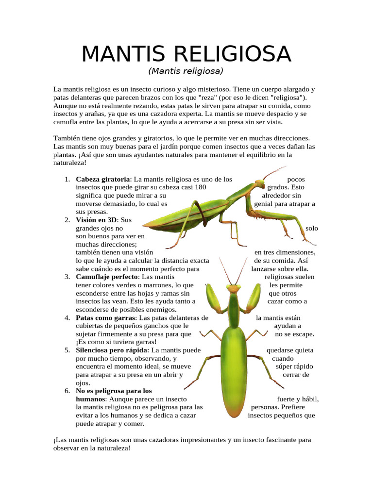 MANTIS RELIGIOSA | PDF | Depredación | Insectos