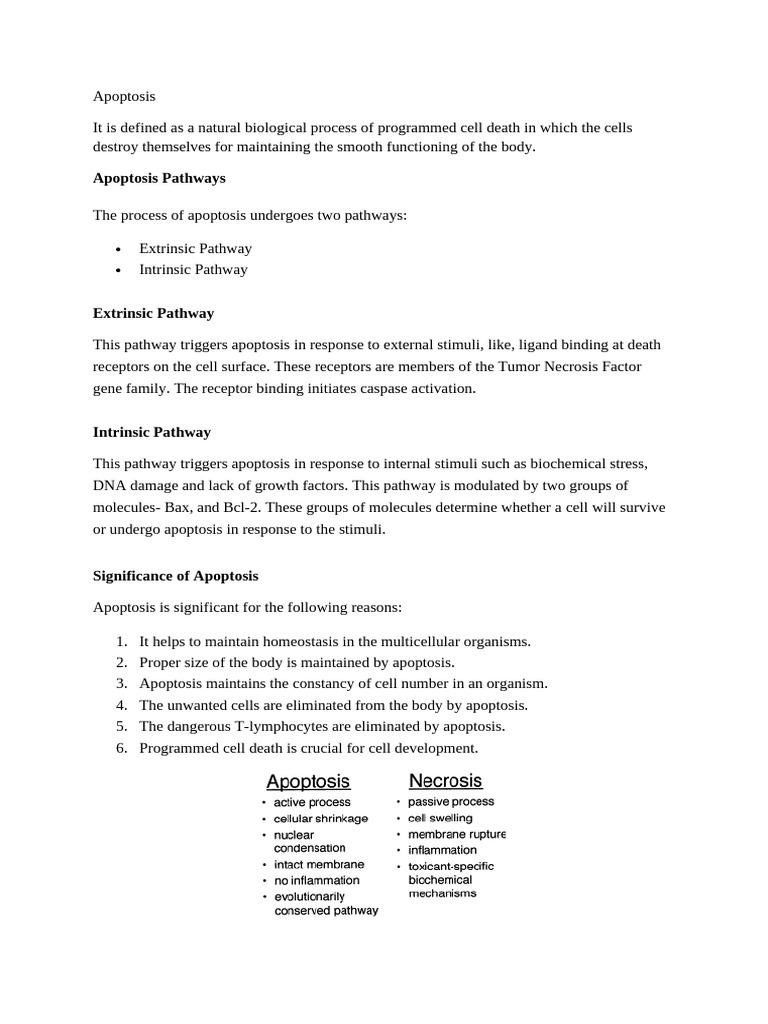 Cell biology NOTES | PDF | Meiosis | Mitosis