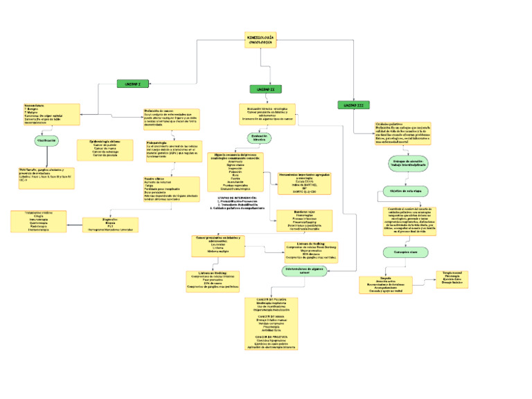 Mapa Conceptual de Kine Oncología | PDF | Cáncer | Oncología
