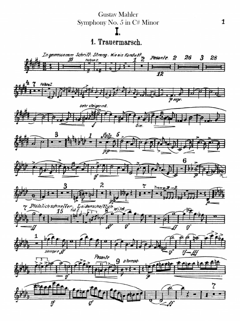 IMSLP43529-PMLP08063-Mahler-Sym5.Flute (1) | PDF