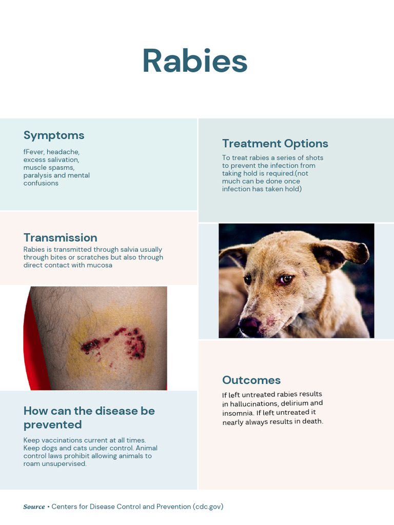 Rabies | PDF