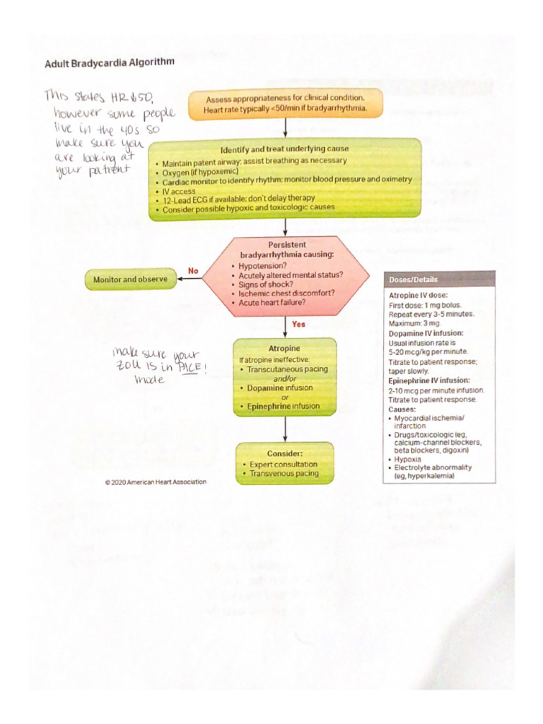 2021 ACLS Notes | PDF