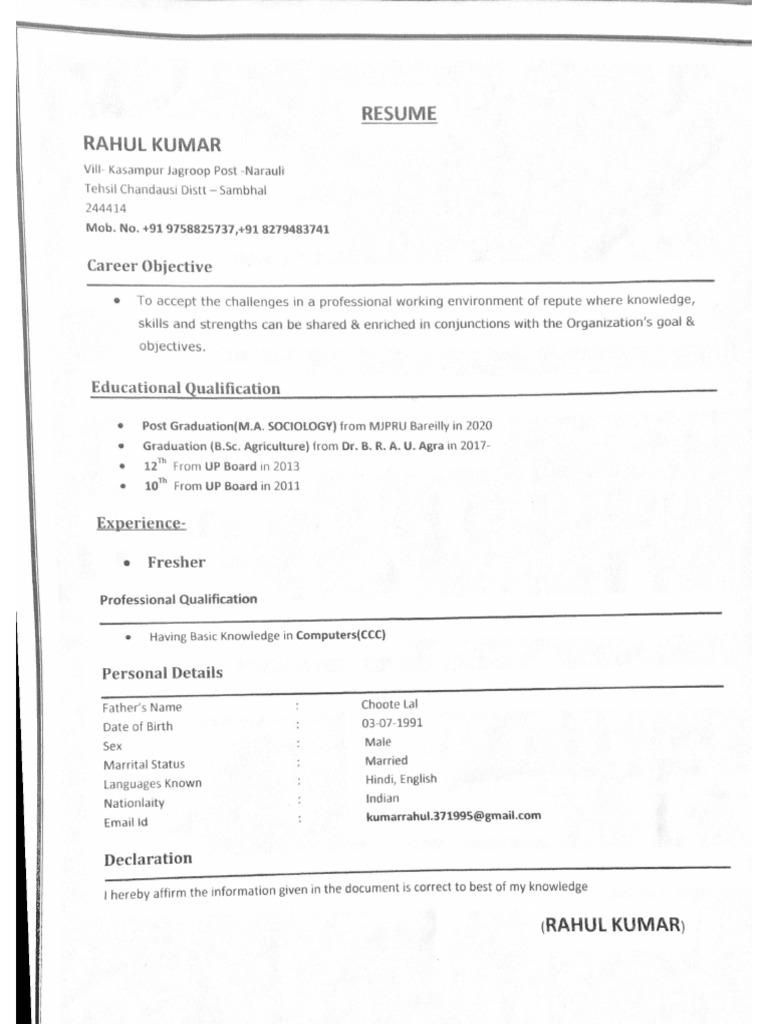 Resume Rahul Kumar | PDF