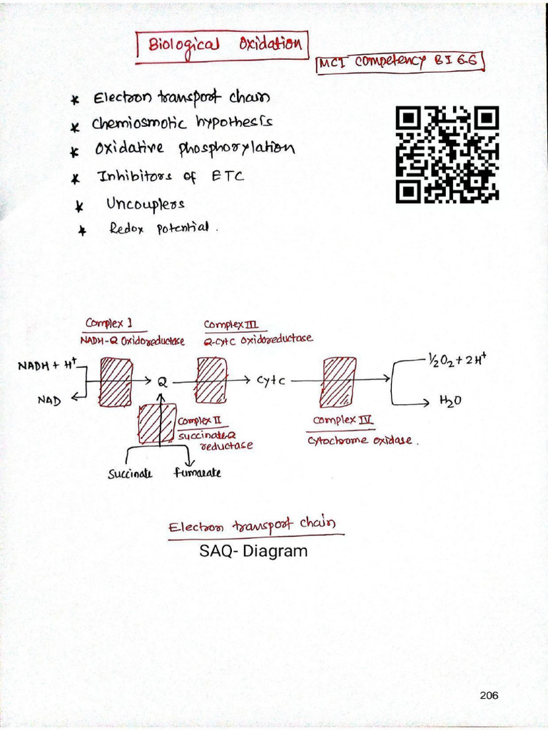 8.biological Oxidation | PDF