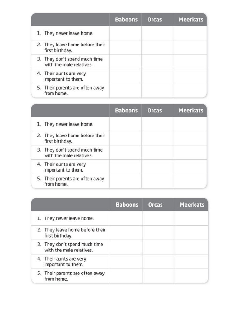 Mini Worksheet | PDF