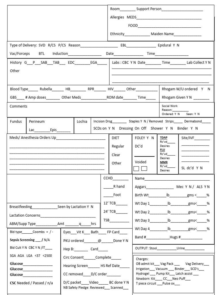 Comprehensive Postpartum Care Record | PDF | Medical Specialties ...