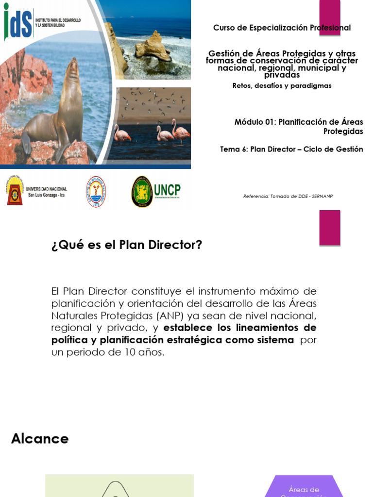 Tema 06. Plan Director - Ciclo de Gestión | PDF