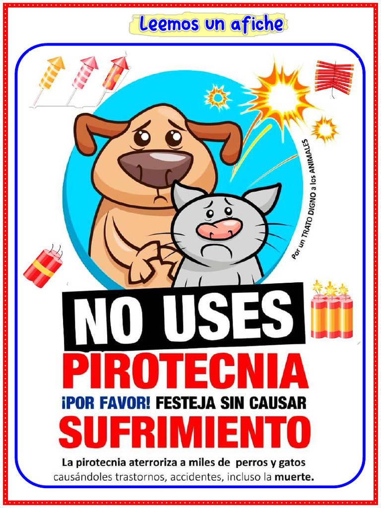 Ficha Leemos Un Afiche Sobre La Pirotecnia Maestra Janet | PDF