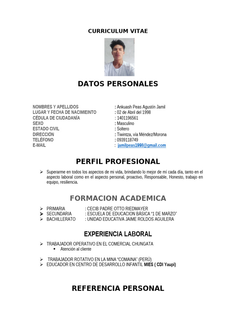 CV de Ankuash Peas Agustín Jamil | PDF