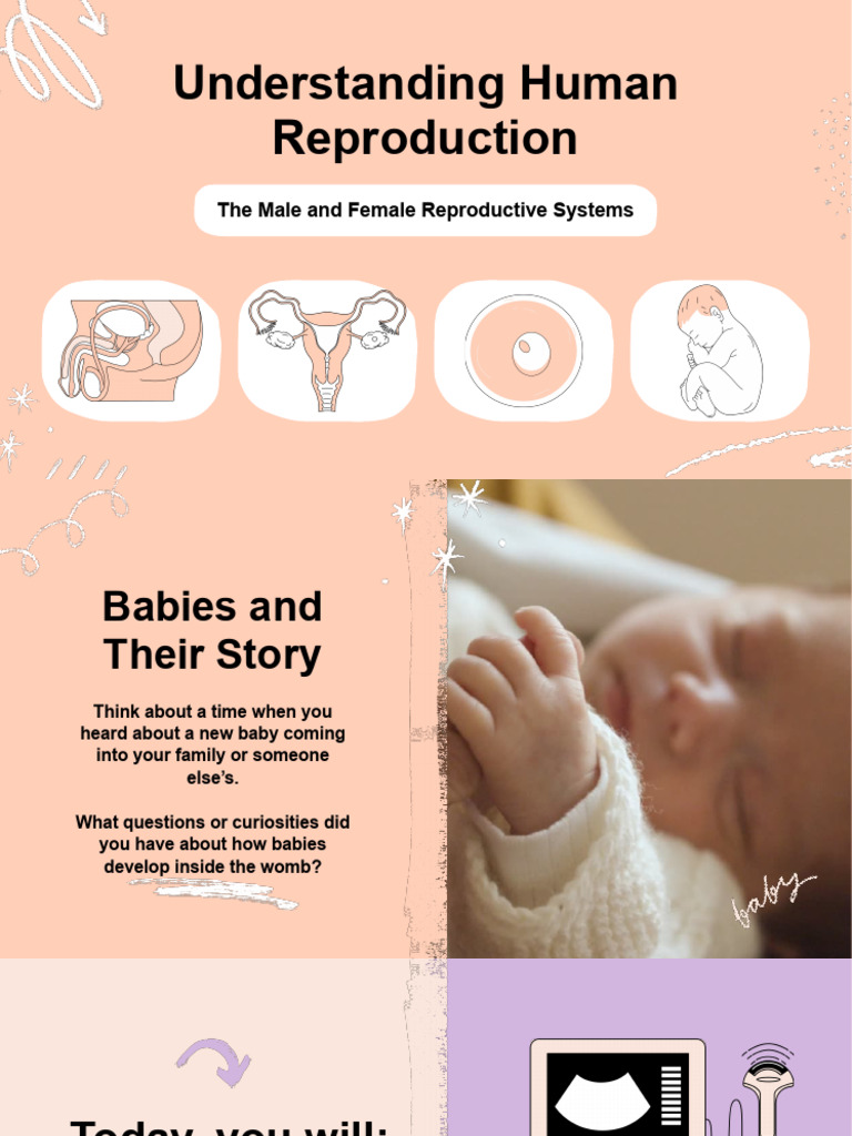 Understanding Human Reproduction Education Presentation in Peach Violet ...