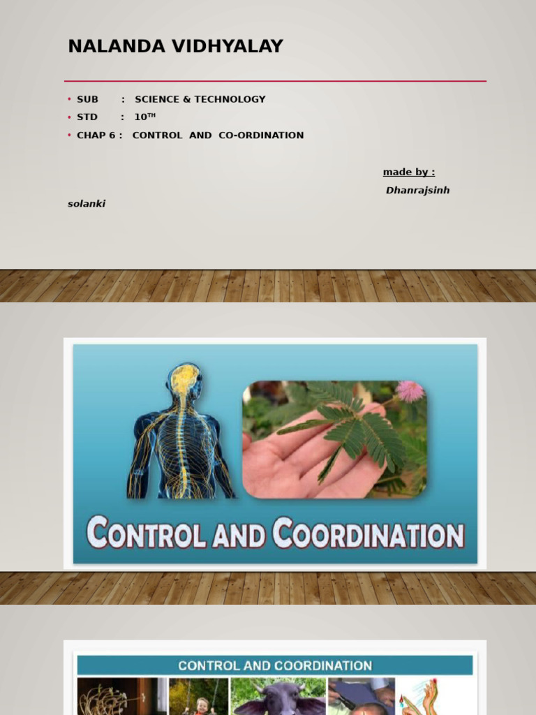 STD 10 Chep 7 Control & Coordi.. | PDF