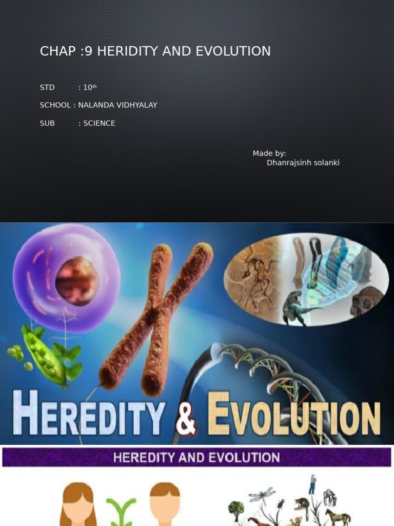 STD 10 Chep 9 - Heridity&Evolution | PDF
