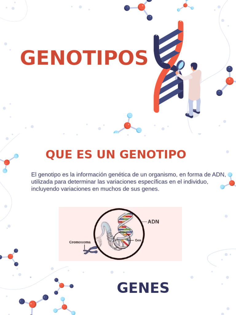 Adn Genotipo | PDF | Alelo | Genotipo