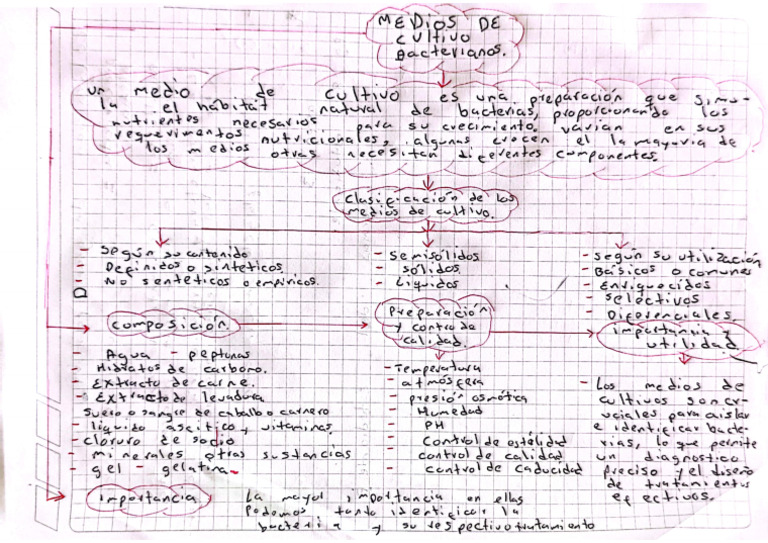 Documento de Perdomo? | PDF
