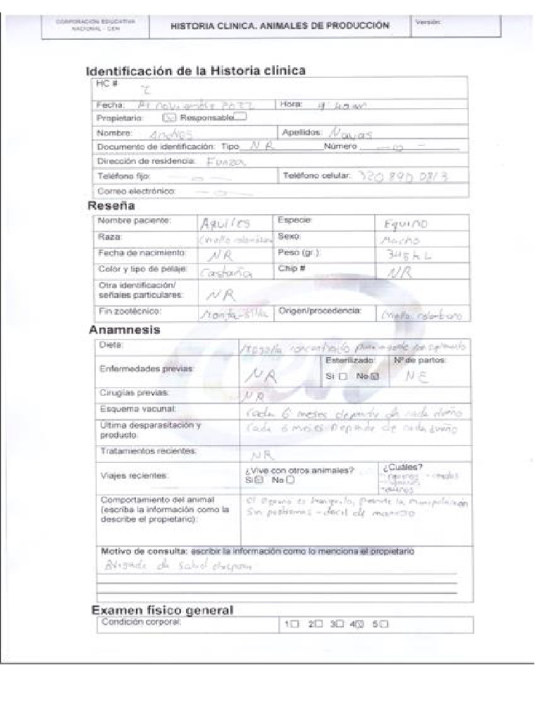 Historias Clinicas | PDF