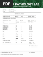 Pathophysiology of ALL (Diagram) | PDF | Medical Specialties | Clinical ...