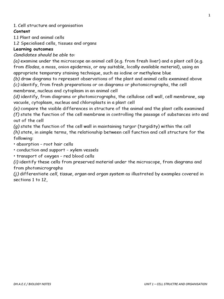 Plant and Animal Cell Structure | PDF | Ploidy | Meiosis