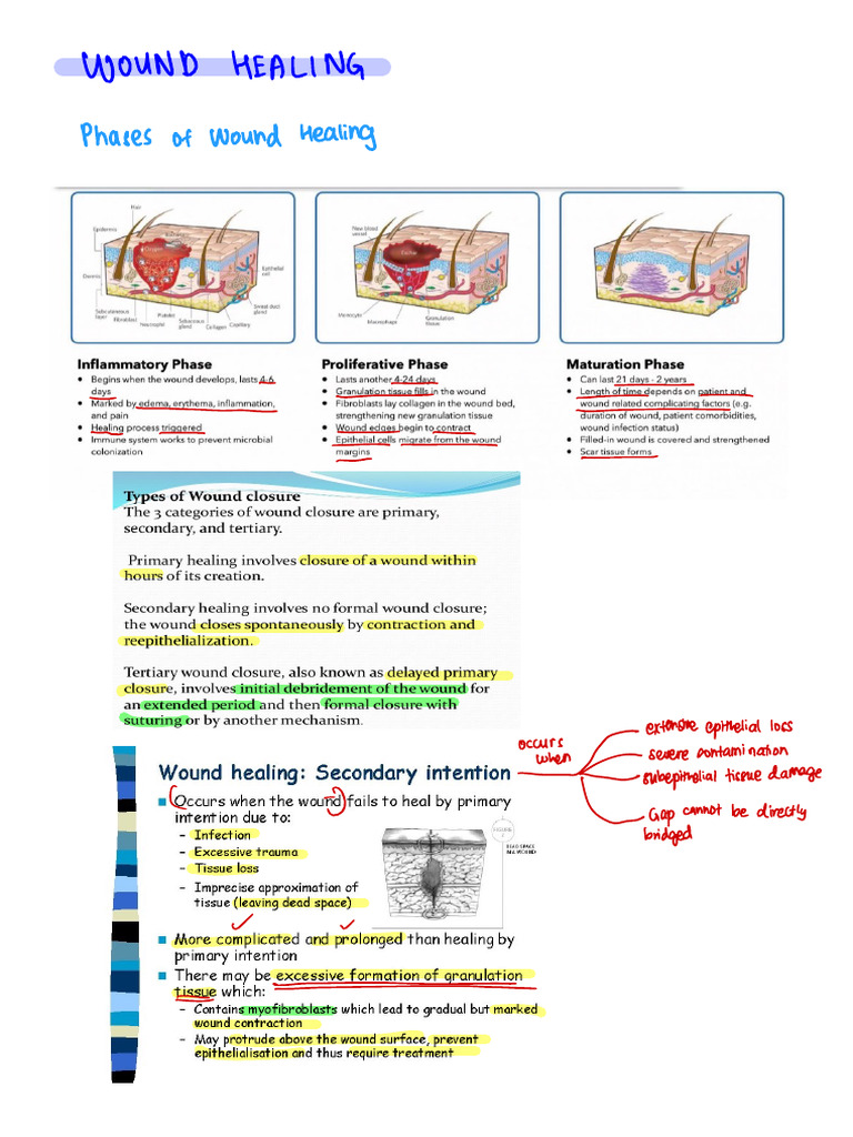 Wound Healing | PDF