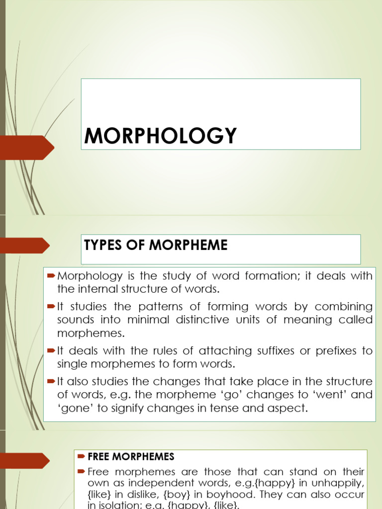 MORPHOLOGY-1 | PDF | Word | Morphology (Linguistics)