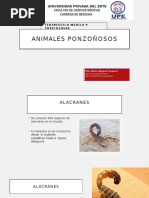 Guía sobre Alacranismo y su Tratamiento | PDF | Especialidades Medicas