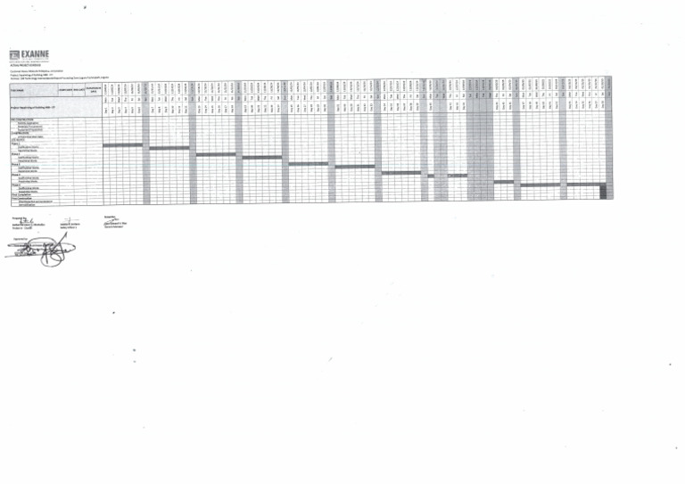 Gantt Chart - Nikkoshi Philippines Corporation LTI (Exanne Ventures ...