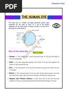 Human Eye (Prashant Kirad) | PDF | Eye | Sunset
