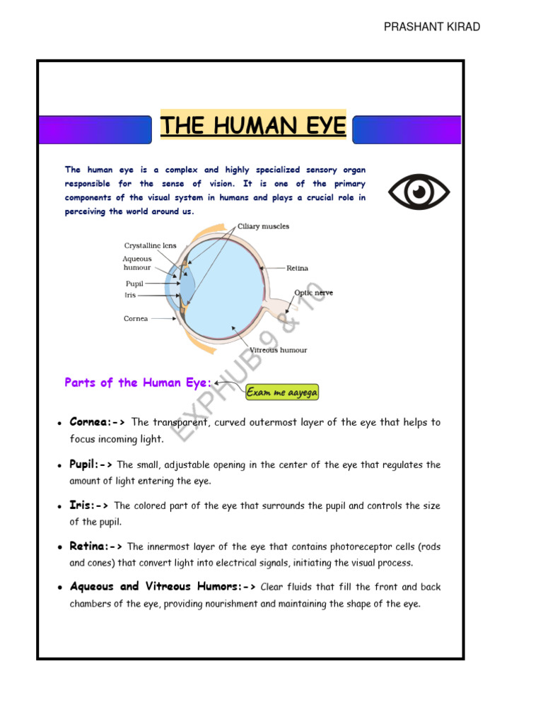 Human Eye ) | PDF | Sunset | Eye