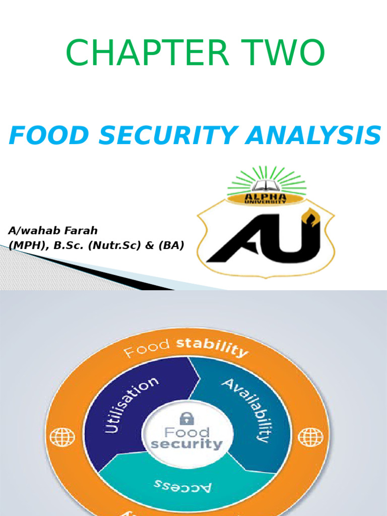 Food Security Analysis Overview | PDF | Food Security | World Food ...