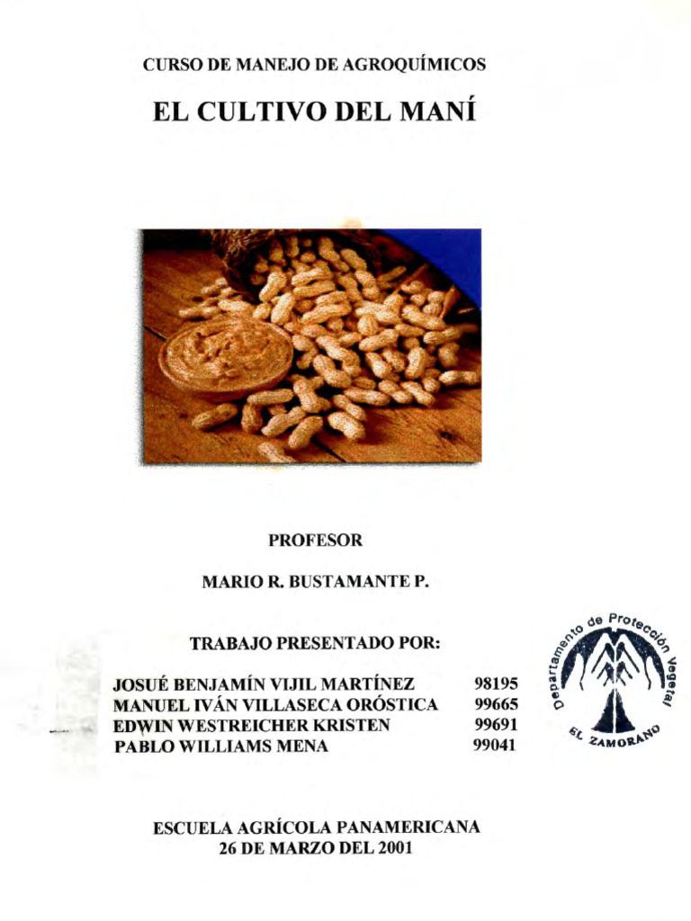 el cultivo de mani | PDF