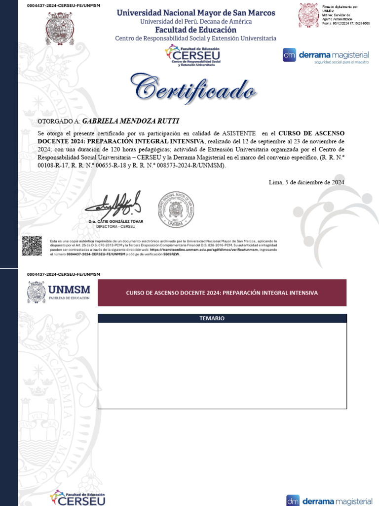 UNMSM | PDF | Maestros | Aprendizaje