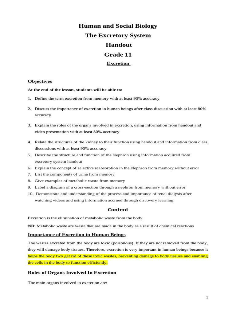 Excretion handout | PDF | Kidney | Urinary System