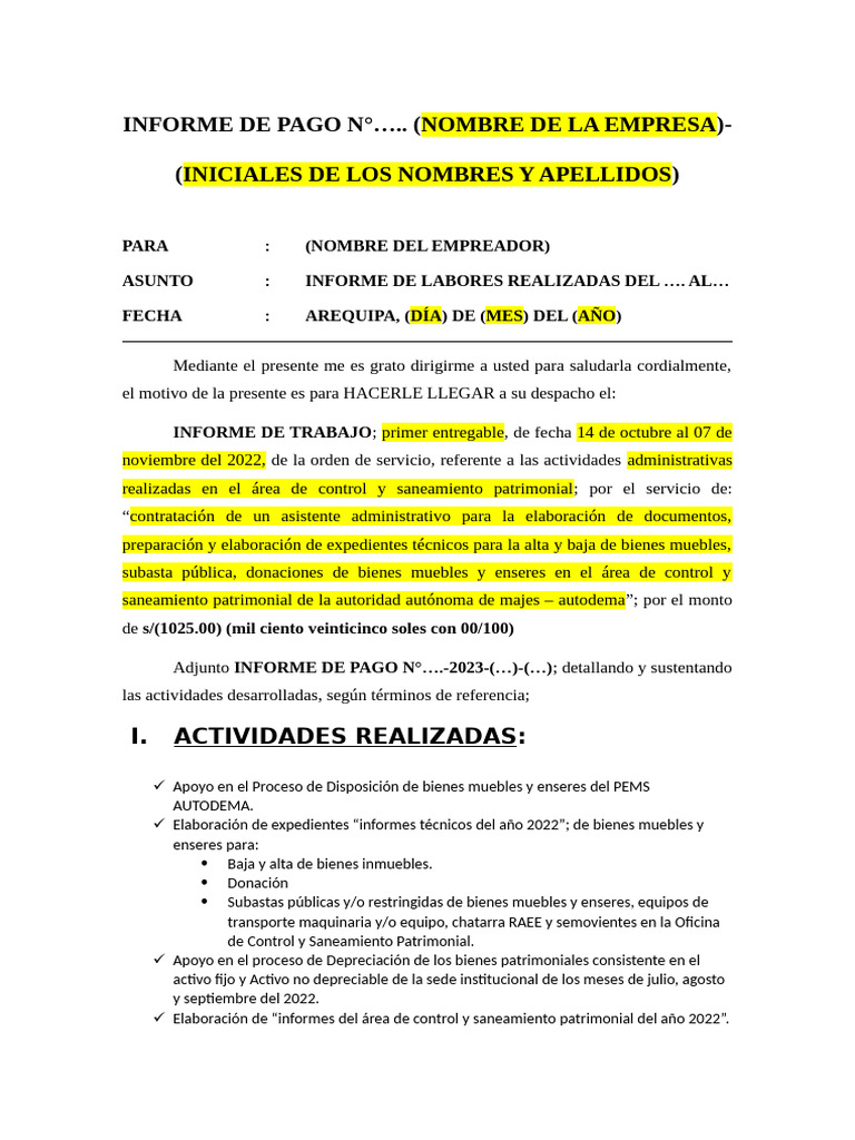 Modelo de Informe | PDF