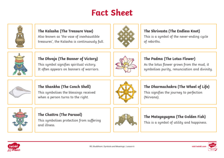 Fact Sheet Activity Sheet | PDF