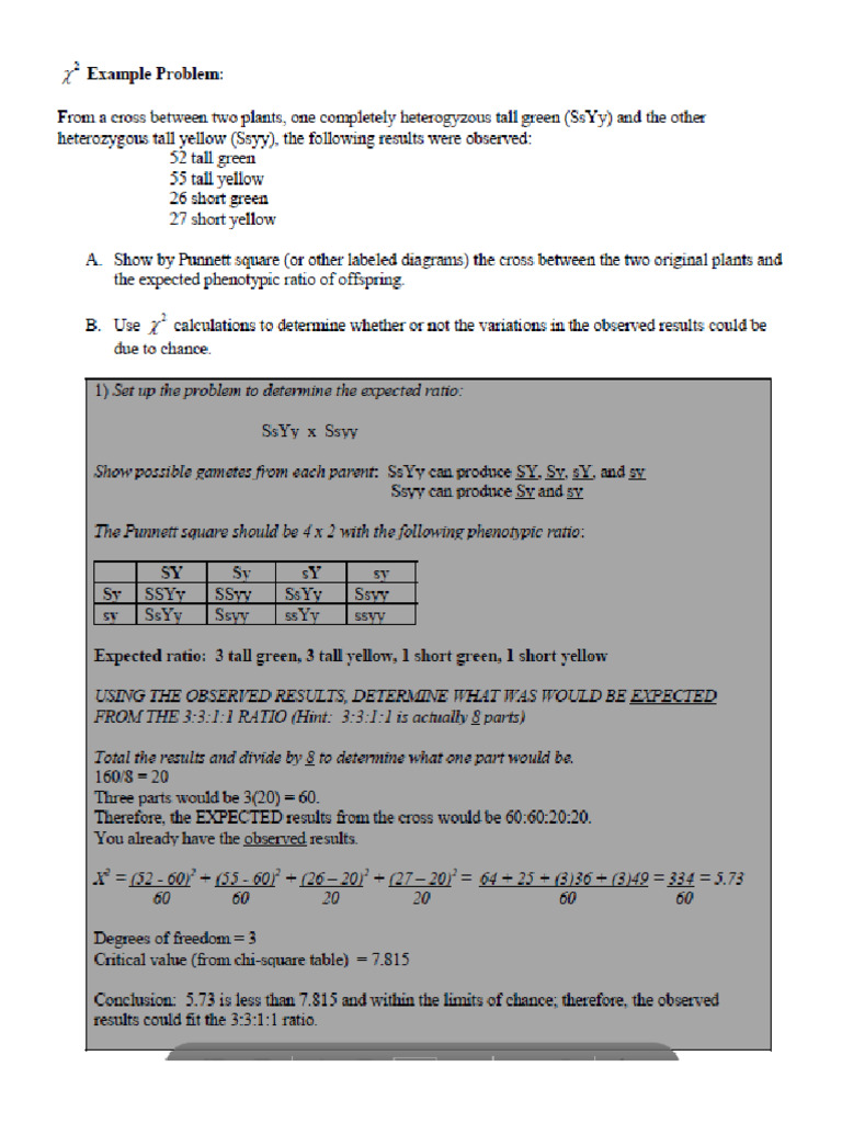 Chi Square Practice Packet Blank | PDF | Zygosity | Genetics