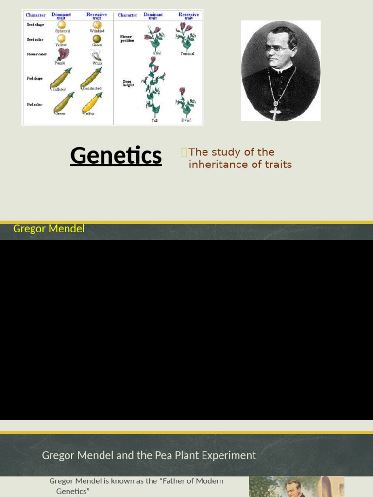 Mendelian and Non-Mendelian Genetics Notes (2) | PDF | Dominance ...