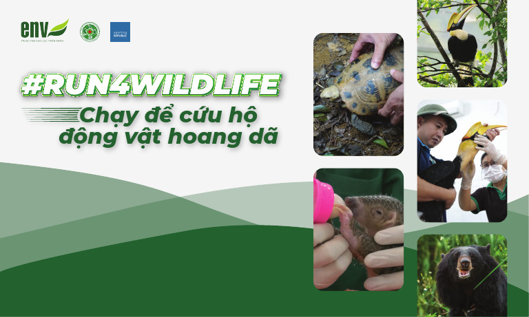 R4W backdrop (Nov 28, 2024) | PDF