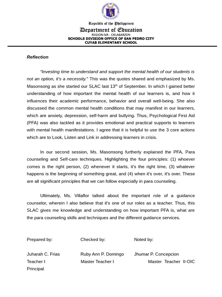 Reflection PFA | PDF